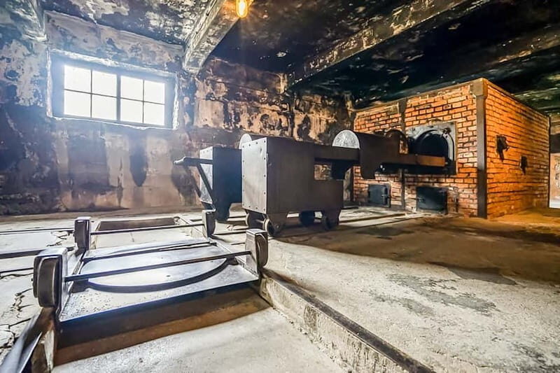 Auschwitz-Birkenau Skip-the-Line Guided Tour - A Detailed Review of the Auschwitz-Birkenau Guided Tour