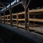 Auschwitz-Birkenau Skip-the-Line Ticket and Guided Tour - A Detailed Breakdown of the Auschwitz-Birkenau Experience
