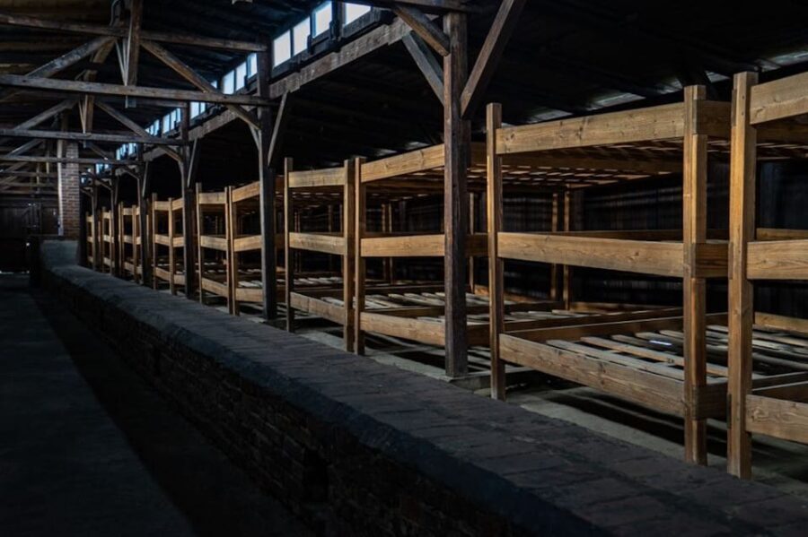 Auschwitz-Birkenau Skip-the-Line Ticket and Guided Tour - A Detailed Breakdown of the Auschwitz-Birkenau Experience