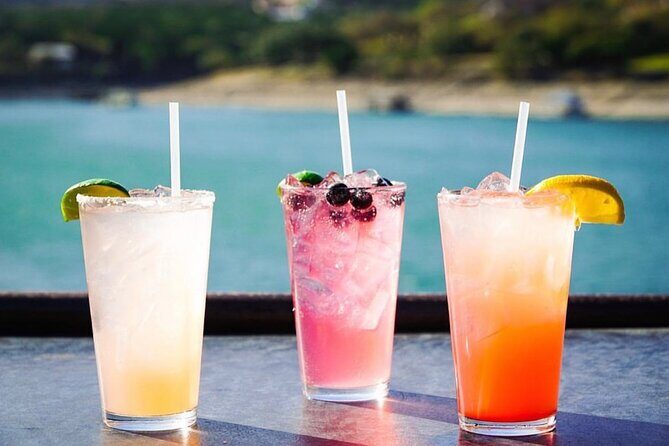 Austin Lake Travis Barge Crawl Bar Hopping Tour by Boat - The Bottom Line: Is It Worth It?