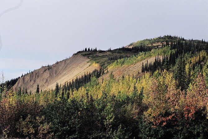 Authentical Denali Tour from Denali Park and Fairbanks - Duration and Flexibility
