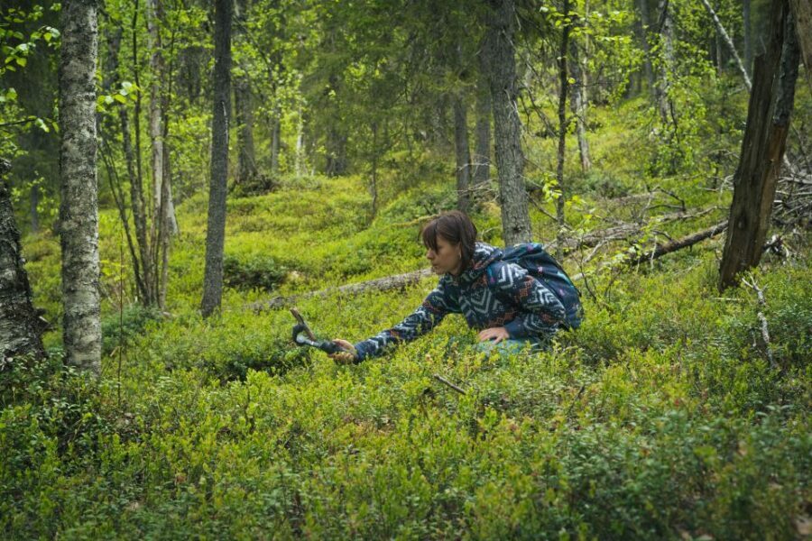 Auttiköngäs Hiking Experience - Why This Tour Works Well