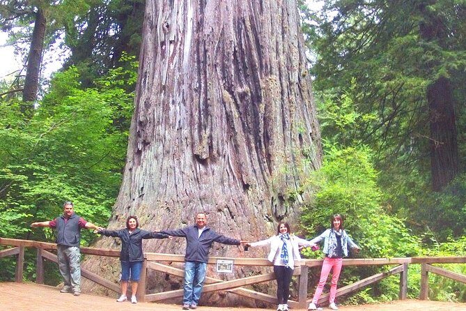 Avenue of the Giant Redwood Private 1 day Tour from San Francisco - Who Will Love This Tour?