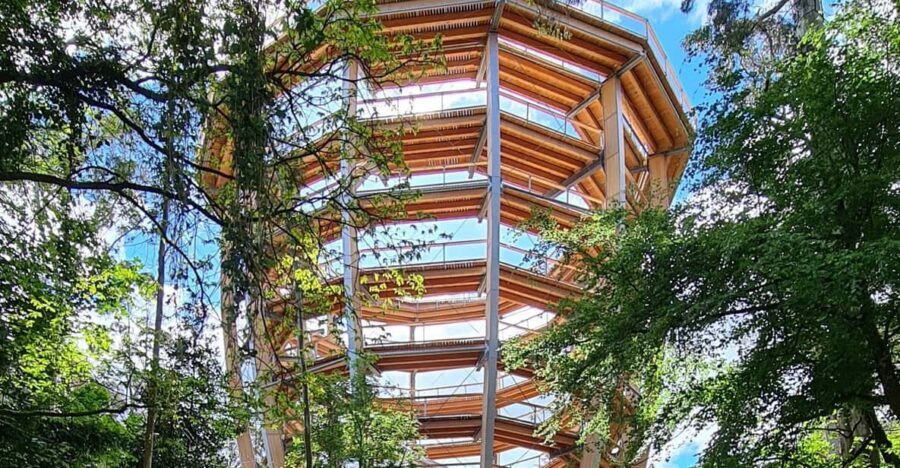 Avondale: Beyond the Trees Treetop Walk & Tower Entry Ticket - A Detailed Look at the Avondale Treetop Walk & Tower