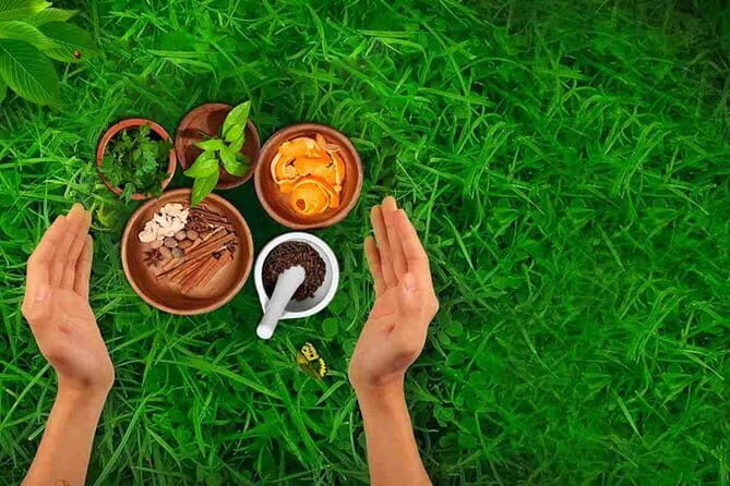 Ayurvedic Relaxation Package for 7 Days - Who Will Love This Tour?