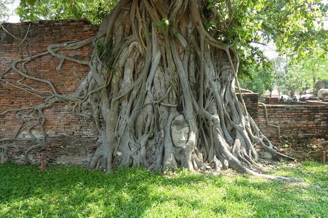 Ayutthaya Elephant Village ATV and Floating Market by Tuk Tuk - Who Will Love This Tour?