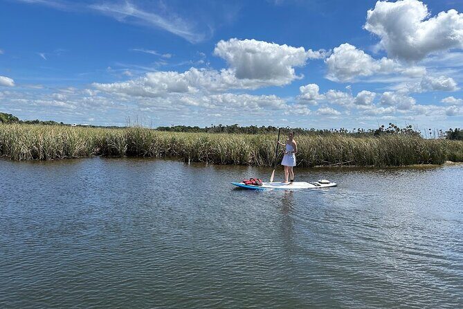 Backland Alligator Electric Paddle Tour - The Experience — What It Means for You