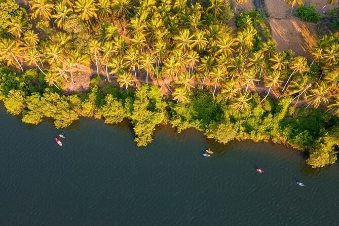 Backwater Kayaking Experience - Value and Practical Considerations