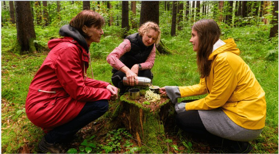 Bad Wörishofen: Shinrin-Yoku  Forest Bathing - What Is Shinrin-Yoku and Why Should You Care?