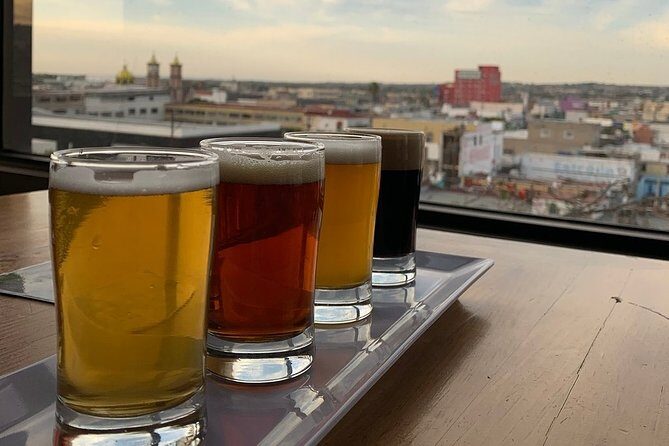 Baja Craft Beer Tasting - Who Should Book This Tour?