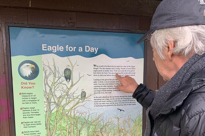 Bald Eagles Nesting Area Tour at Skagit River - Is the Tour Worth the Price?