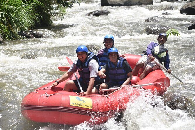Bali Ayung River Rafting and Denpasar City Private Tour - What to Expect from the Tour