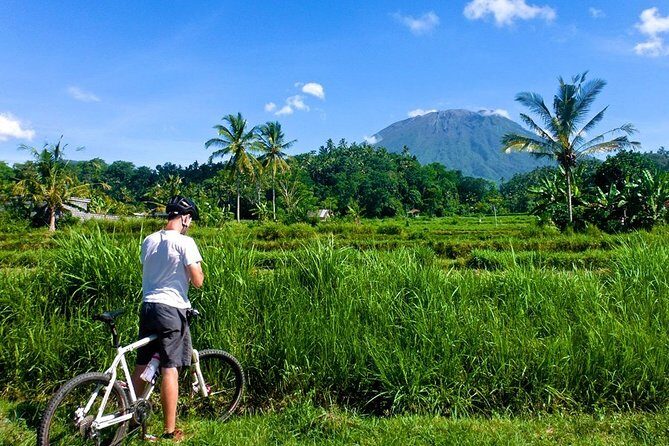 Bali Bike Adventure Tour - Practical Details: What You Need to Know