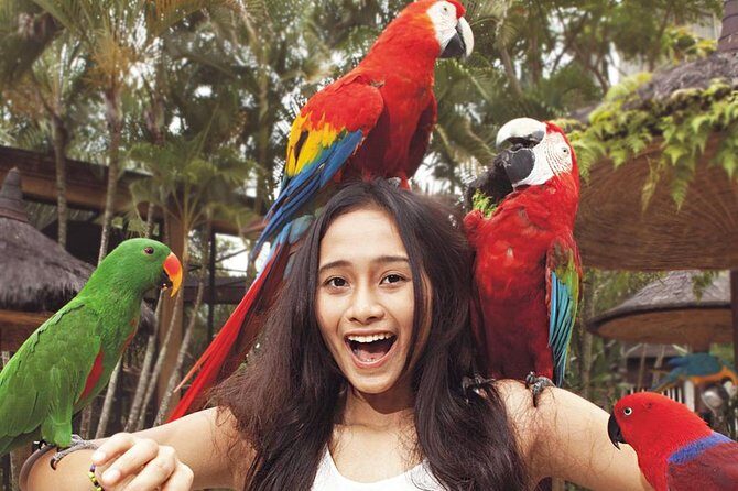 Bali Bird Park Entrance Tickets - The Value of the Experience