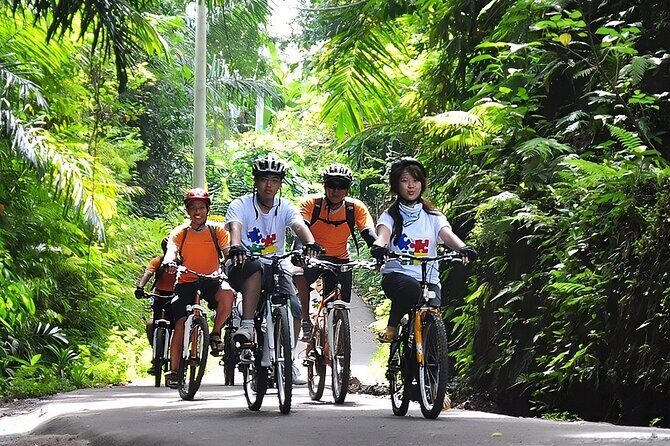 Bali Cycling and Ayung Rafting Packages - The Sum Up: Why This Tour Is a Great Bali Experience