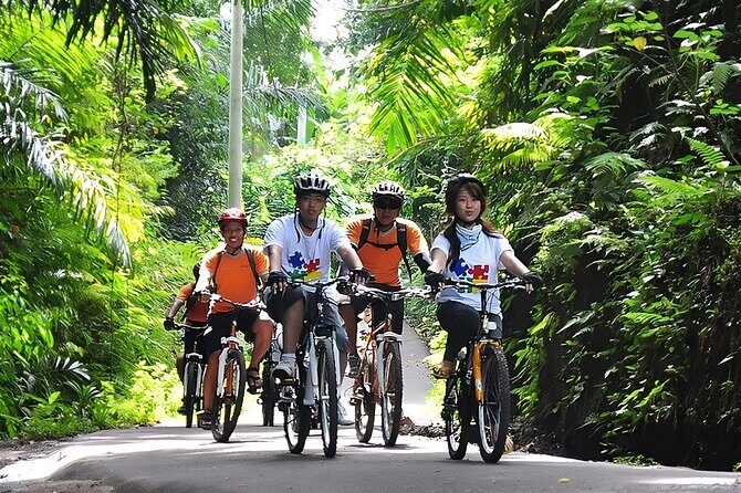Bali Cycling and Uluwatu Sunset Tour with Dinner Packages - Who Is This Tour Best For?
