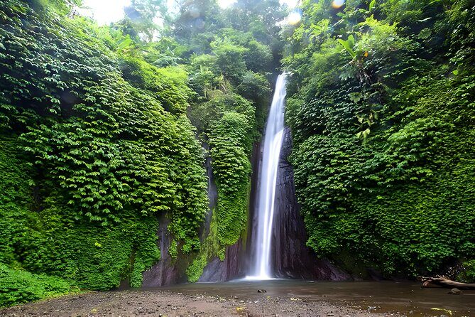 Bali Full-Day Car Charter: Beauty of North Bali Tour - What Makes This Tour Stand Out?