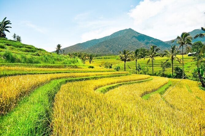 Bali Full-Day Private Customize Tour - Transportation and Overall Experience