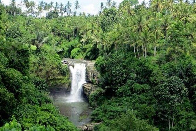 Bali Full Day Tour  Ubud and Tanah Lot Temple Tour - Practical Considerations