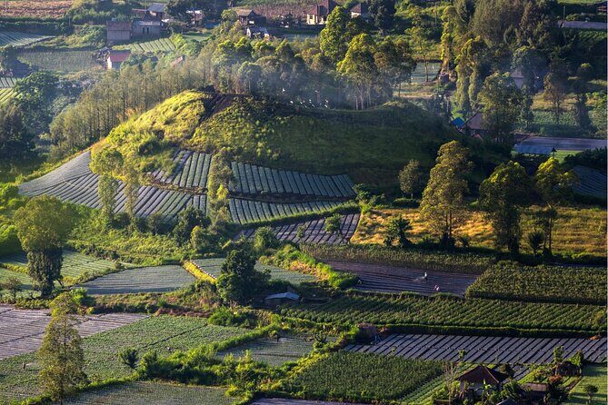 Bali: Guided Mount Batur Sunrise Trekking and Natural Hot Spring Tour - The Experience from a Traveler’s Perspective