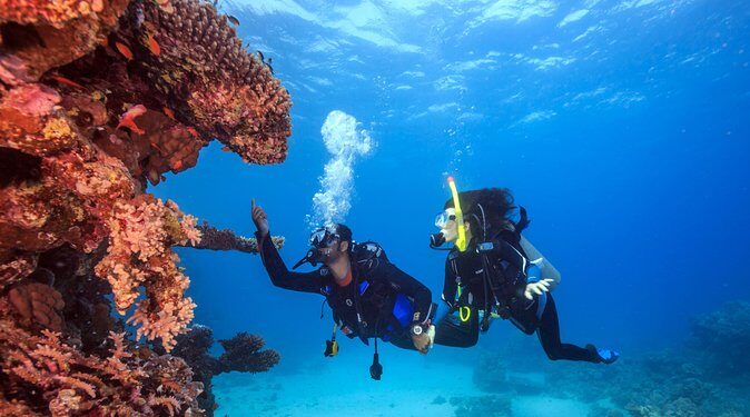 Bali Hai - PADI Advance Open Water Course in Lembongan - Who Should Consider This Course?