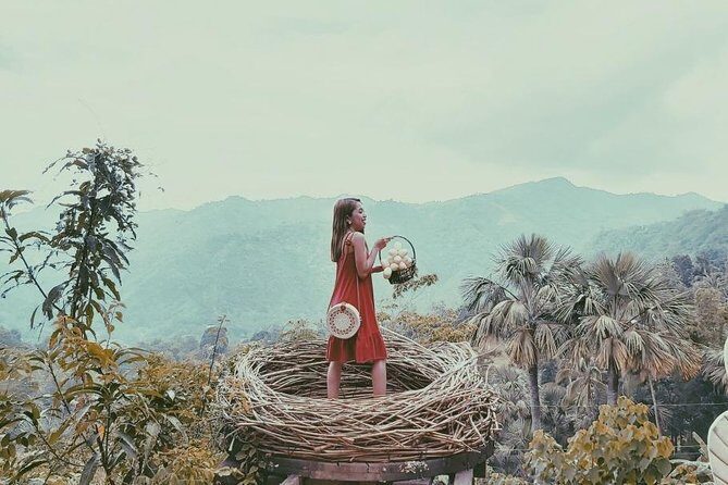 Bali Handara Gate and Wanagiri Hidden Hill with Banyumala Waterfall - The Itinerary in Detail: What You’ll Experience