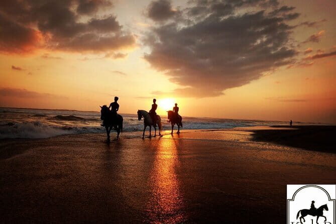Bali Horse Riding on the Ricefields & Beach - Who Should Consider This Tour?