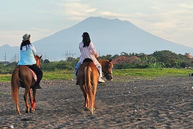 Bali Horse Riding + Waterfall + Rice Terrace + Lunch - Who Will Enjoy This Tour?