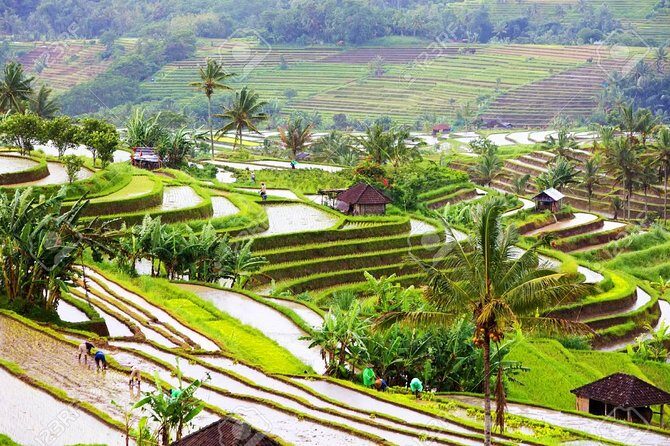 Bali Instagram, Waterfall, & Swing - FAQ