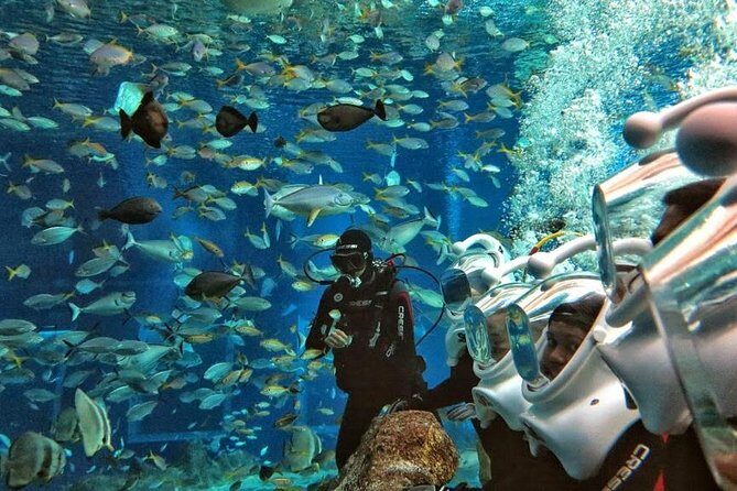 Bali Ocean Walker - The Experience in Detail