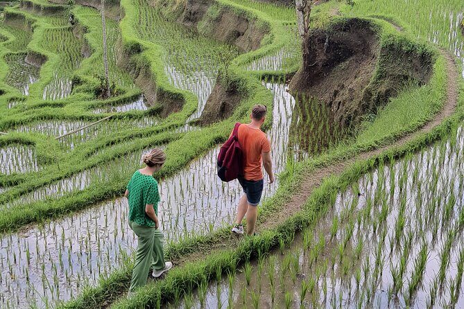 Bali Private Driver and Car for Customize Tours - The Sum Up