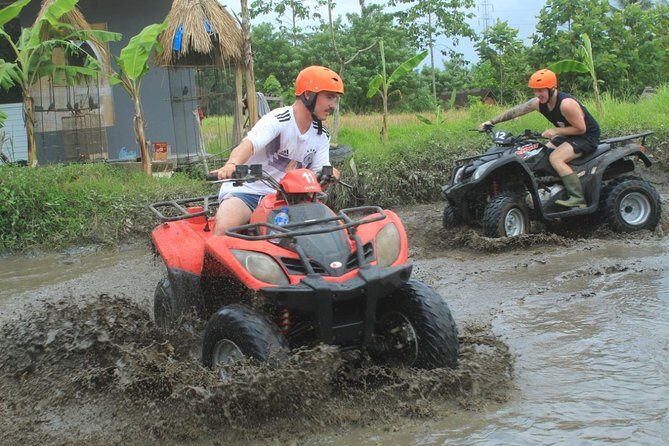 Bali Quad ATV with Ubud Halfday Tour - The Value Proposition
