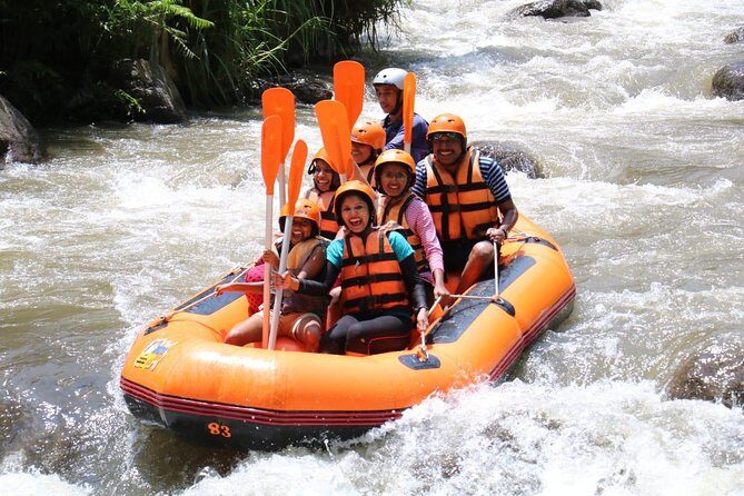 Bali Rafting with Lunch and Transport - Who Will Love This Tour?