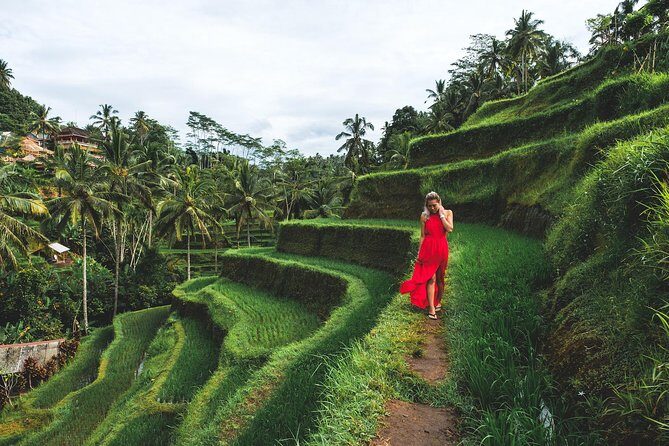 Bali Romantic: Ubud and Tanah Lot Tour - What Travelers Say