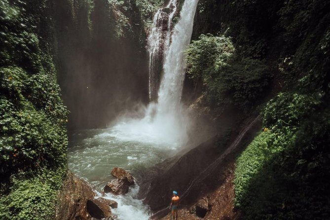Bali Sambangan Waterfall, Rice Field, Secret Garden Tour - What Makes This Tour Stand Out?