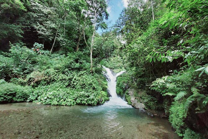 Bali Seven Wonder Waterfalls Trekking - What Travelers Say