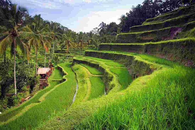 Bali Sightseeing Tours and Tegenungan Waterfall - Breakdown of the Itinerary: What to Expect
