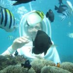 Bali Water Sport : Sea Walker,Donut Boat and Banana Boat with Hotel Transfers - The Itinerary: What You Can Expect