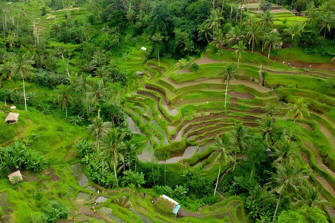 Bali Water Sports and Rafting Packages - Who Should Consider This Tour?