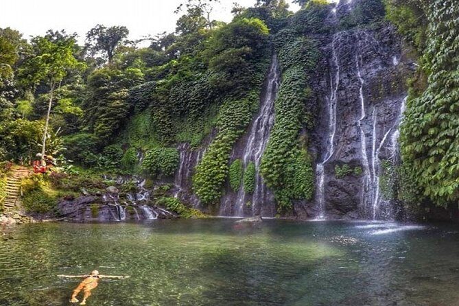 Bali Waterfalls Tour - One Day Private Tour - Itinerary Breakdown: What to Expect at Each Stop