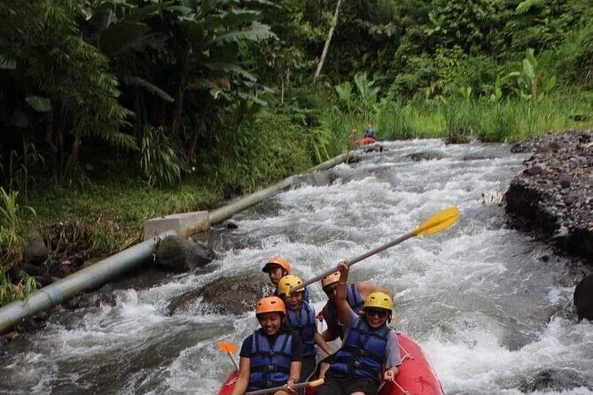 Bali White Water Rafting + Bali ATV Ride - Who Is This Tour Best For?