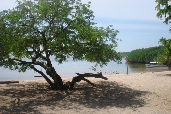 Baluran Trip - The Itinerary in Detail