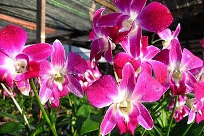 BANGKOK: Damnern Saduak Floating Market, Thai House - What’s Included and What’s Not