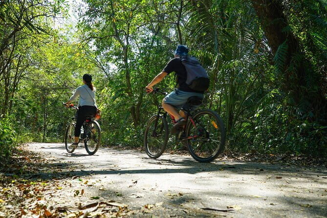 Bangkok Green Oasis Nature Bike Tour - The Journey into Nature: From City to Green Space