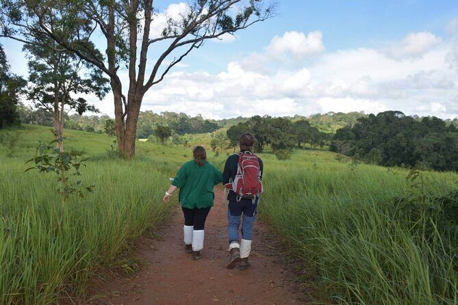 Bangkok to Ayutthaya and Khao Yai National park (4 days) - Why This Tour Offers Value