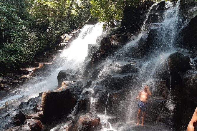 Banyumala Instagram Waterfall Private Tour - What’s Included and What’s Not