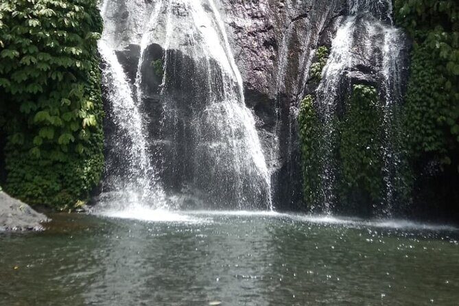 Banyumala Waterfall And Best Of North Bali Private Guided Tour - The Long Drive and Timing