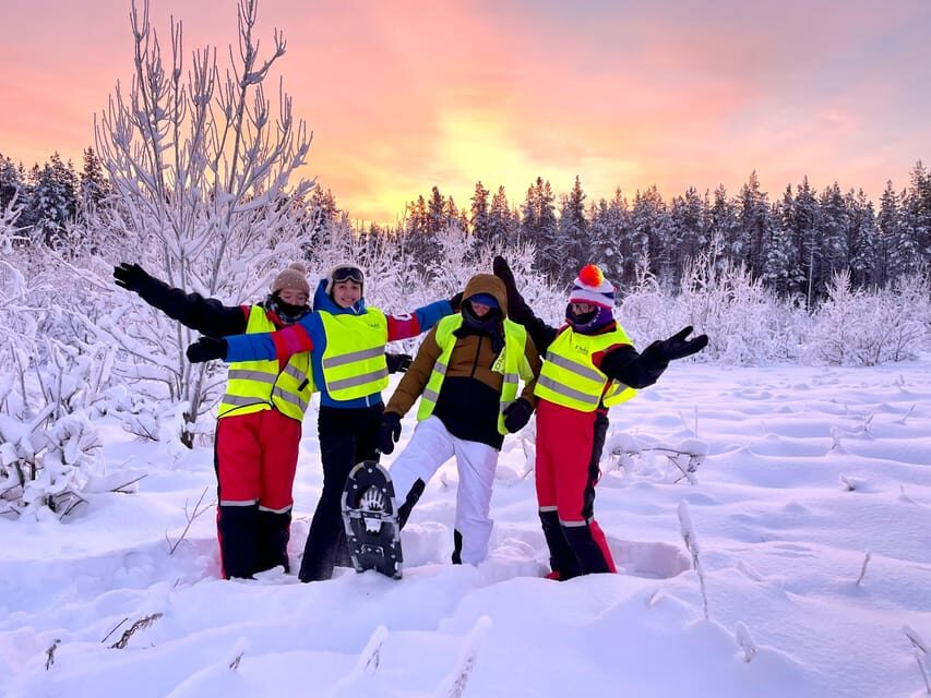 Bardufoss: Wild Moose Safari with Lunch - Is It Worth the Price?