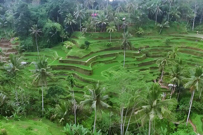 Barong Dance, Ubud and Tanah Lot Sunset Tour - Final Thoughts