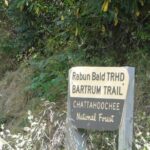 Bartram Trail Hike plus Wine Tasting - Final Thoughts
